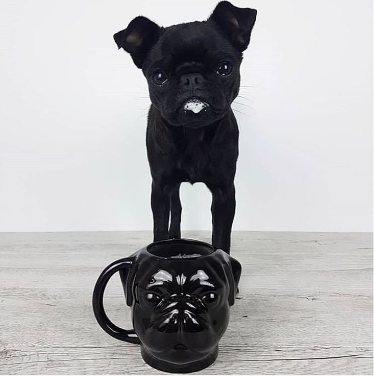 The Pug Life Shop's Black Pug Mug - The perfect gift for any Pug-lover